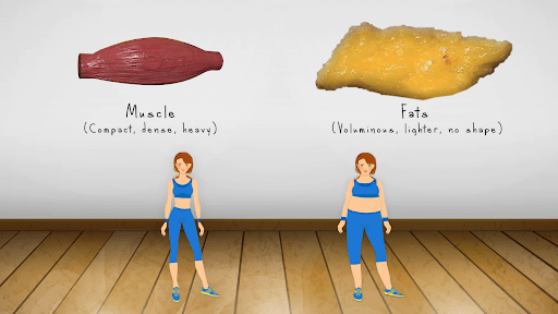 Why Weight isn’t Everything: Understanding Body Composition & Visceral Fat